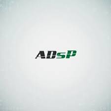 ADSP (4) 분석 마스터플랜